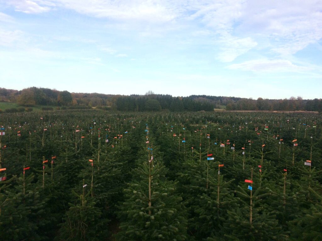 Yattendon Estate – a Local and Global Company – YATTENDON CLASSIC ...