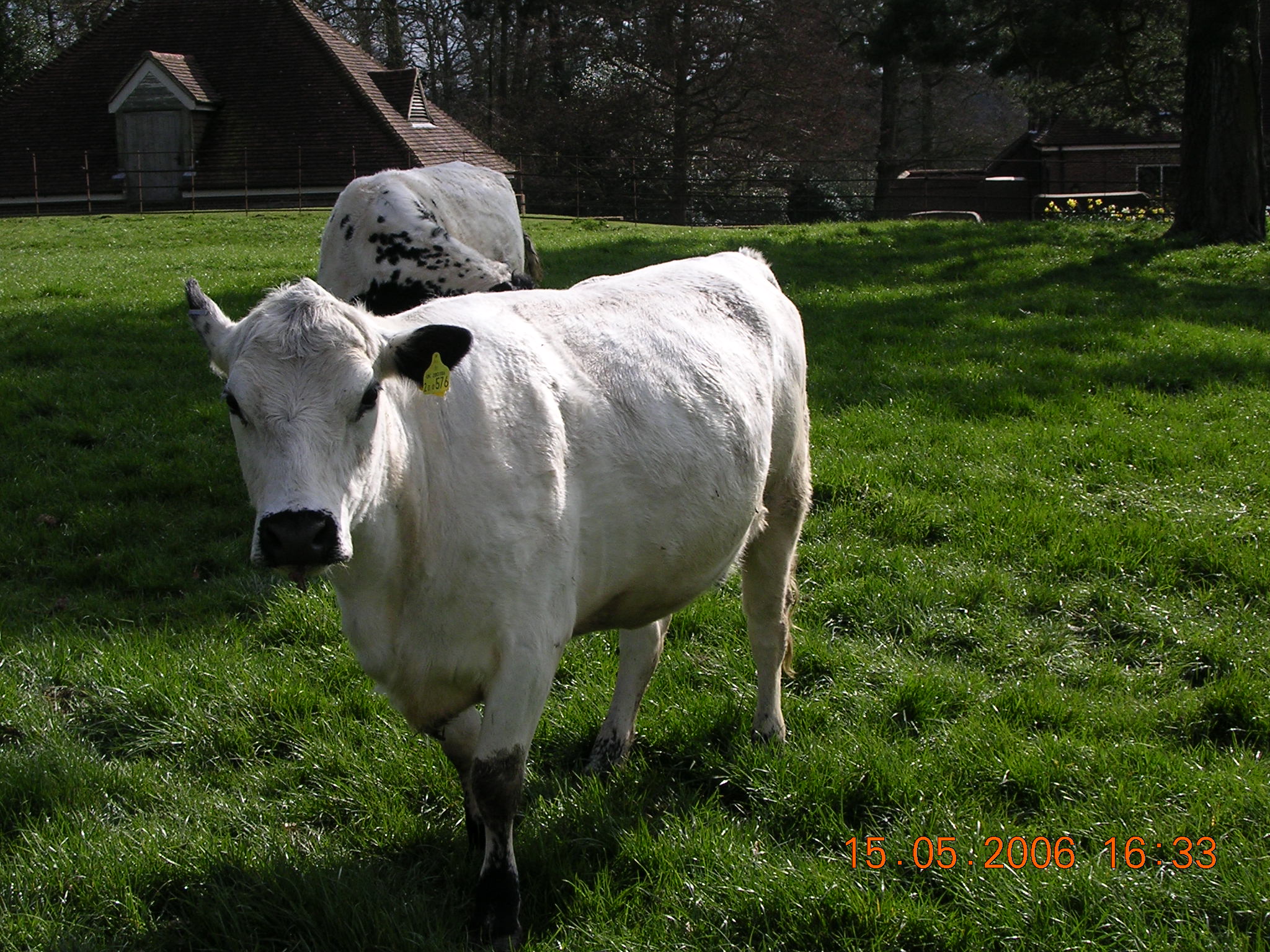 Yattendon Estate – a Local and Global Company – YATTENDON CLASSIC ...